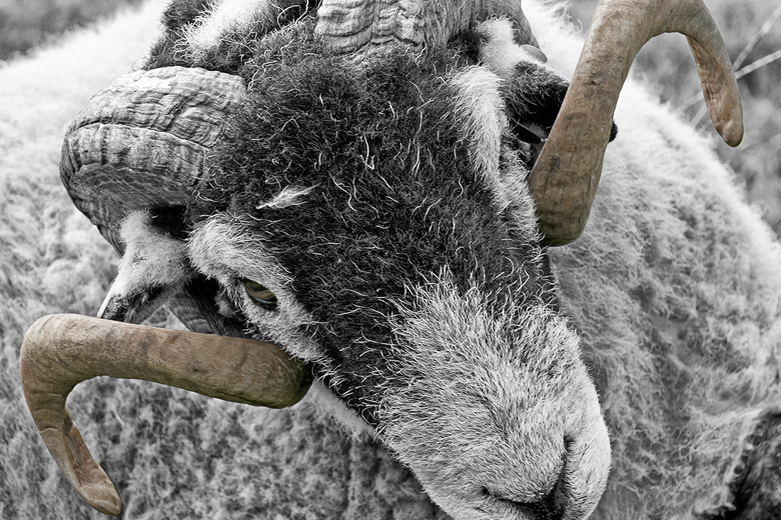 Exeter University Students' Guild - Capital Development Project, Food ...